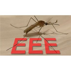 Eastern Equine Encephalitis Detected in Chatham County; Officials Urge ...