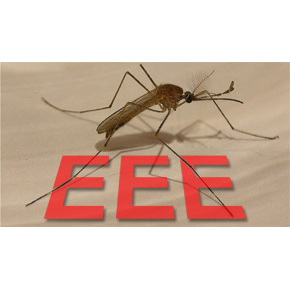 Eastern Equine Encephalitis Detected in Effingham Co. Horse - Georgia ...