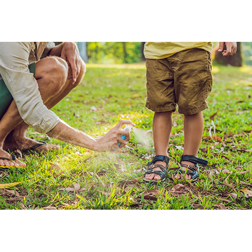 Mosquito Precautions Encouraged - Georgia Coastal Health District ...